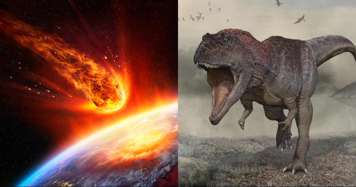 Scientists Finally Tracked Down The Source Of The Asteroid That Wiped Out The Dinosaurs ...